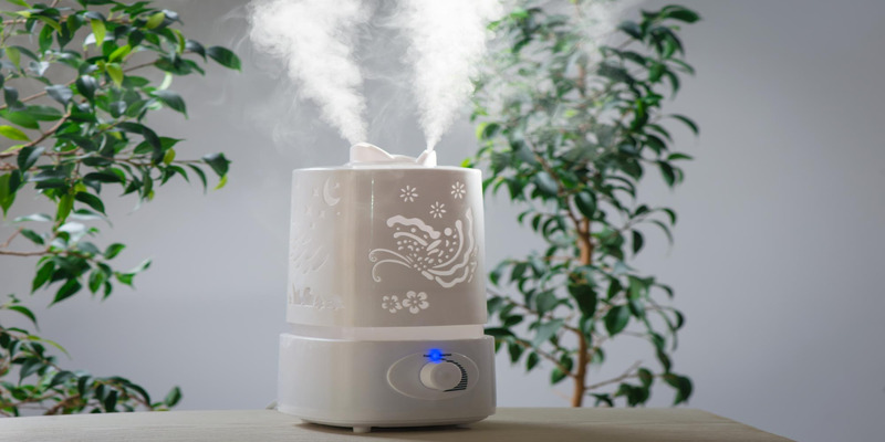 What Is a Humidifier? A Complete Beginner's Guide - Sensibo